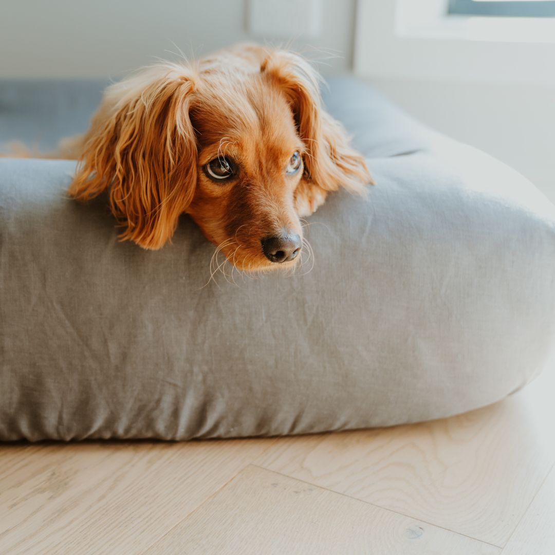 Breathable linen dog bed covers – durable & elegant – The Coverly