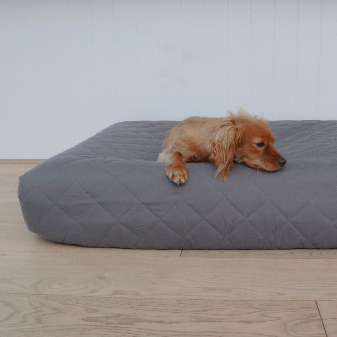 Waterproof Dog Bed Covers Durable Easy To Clean The Coverly Waterproof Dog Bed Covers Durable Easy To Clean The Coverly